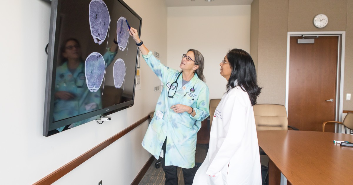 Academic Pediatrics | Department of Pediatrics | The University of Chicago